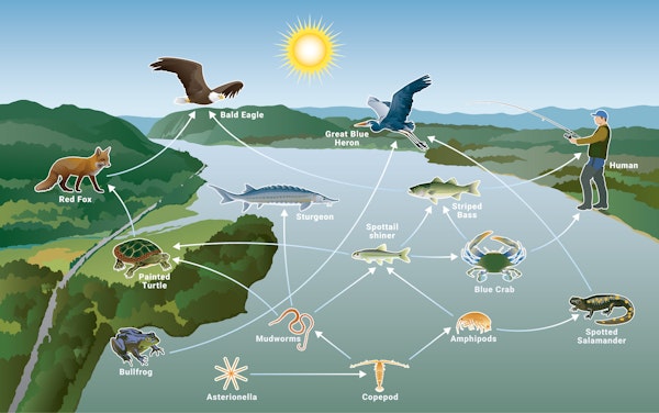 Steven Cook | Portfolio | www.workbook.com