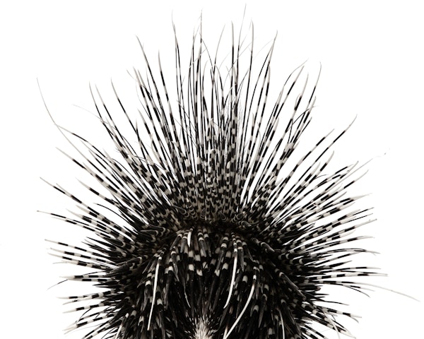 Adrian Delsi | Photographers Portfolio | www.workbook.com